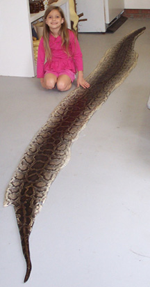 Untitled [www.amystaxidermy.com]